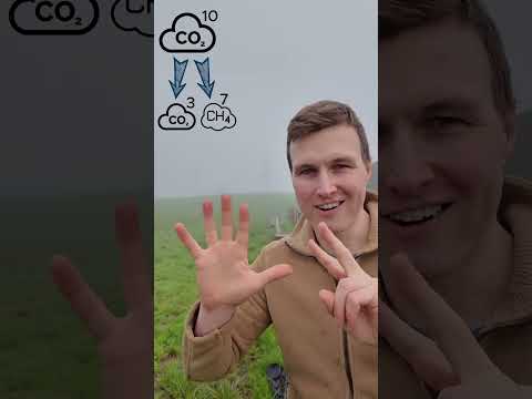 Methane from cows isn't killing the planet!