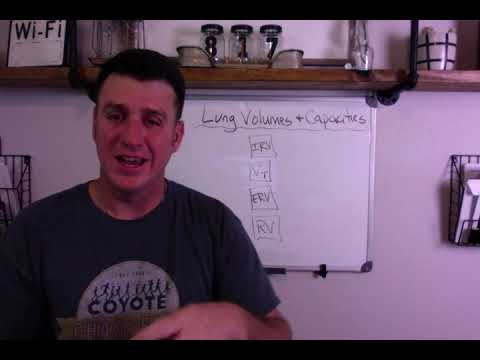 Respiratory Therapy - Lung Volumes and Capacities