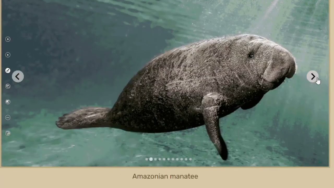 Geo Grade 6 Unit 4 Lecture 3 || NCP 2022-23 ||