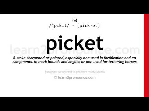 Pronunciation of Picket | Definition of Picket