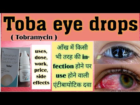 Tobramycin Eye Drop - Tobramycin Ophthalmic Solution USP Latest Price ...