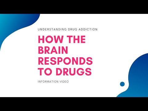 Drug Addiction - Understanding How The Brain Responds To Drugs