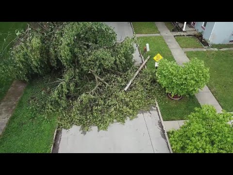 Legal Lens: Are you liable if a tree branch damages neighbor's property?