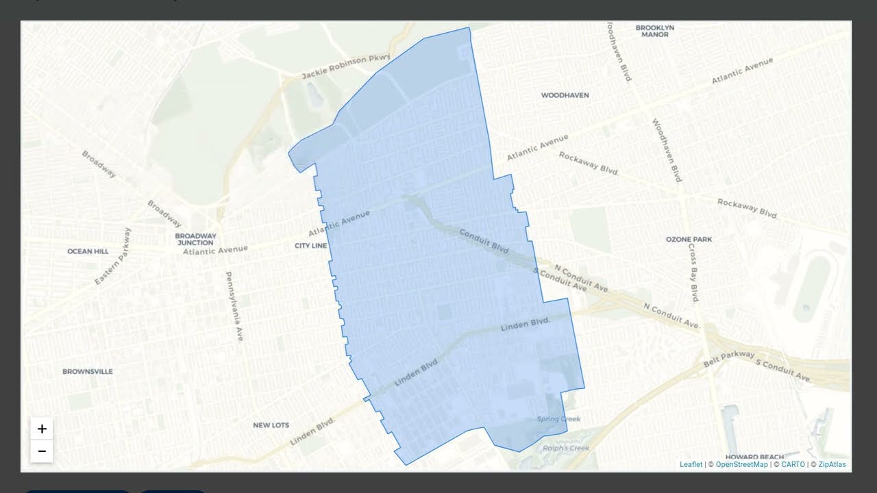 Zip Code 11208 (NY) Social & Economic Profile