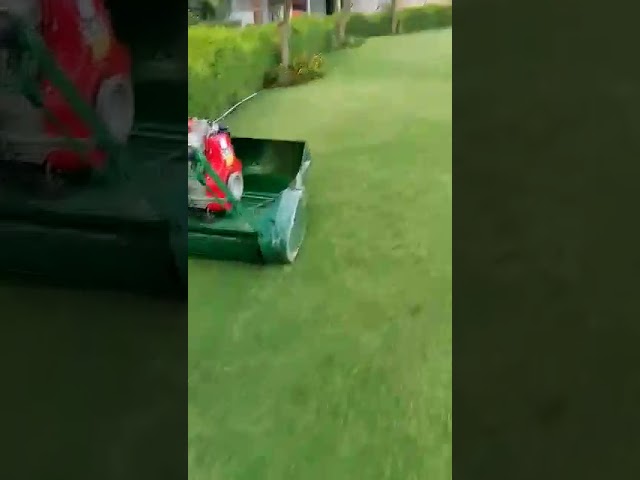 Lawn Mower - Power Lawn Mower Trader - Wholesaler / Distributor from ...