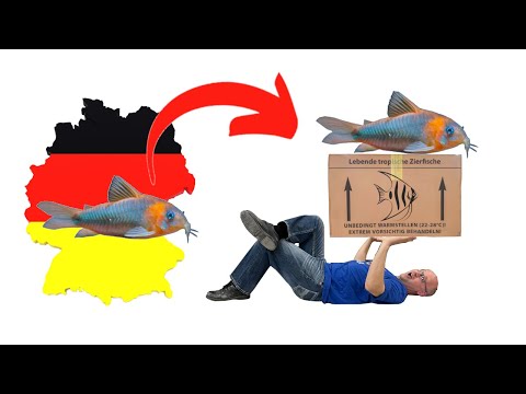 Unboxing Aquarium Glaser!