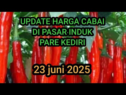 Harga Cabe Rawit 23 Juni 2024 di Pasar Induk Pare Kediri Jawa Timur