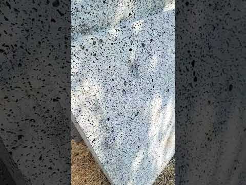 Brand New and very cool, It's a Concrete Lava rock paver.