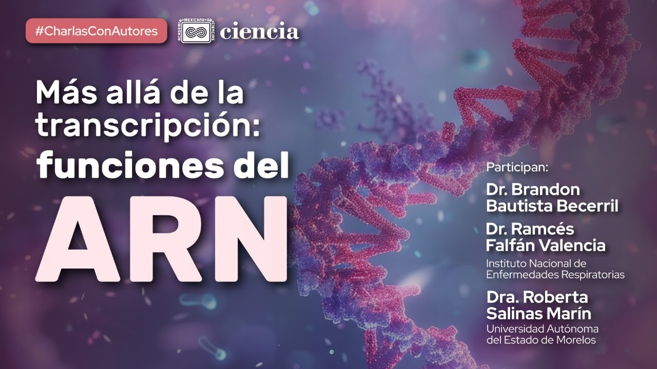 Más allá de la transcripción: funciones del ARN