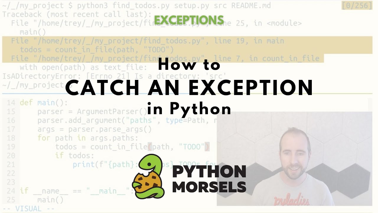 How to catch an exception in Python