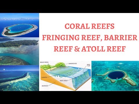Types of Coral Reefs - Fringing/Shore Reef, Barrier Reef & Atoll Reef