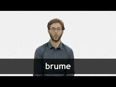 English Translation of “BRUME” | Collins French-English Dictionary