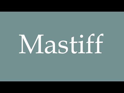How to Pronounce ''Mastiff'' Correctly in French