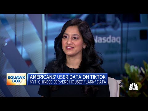 TikTok user data routinely posted on internal messaging system, stored on Chinese servers: NY Times