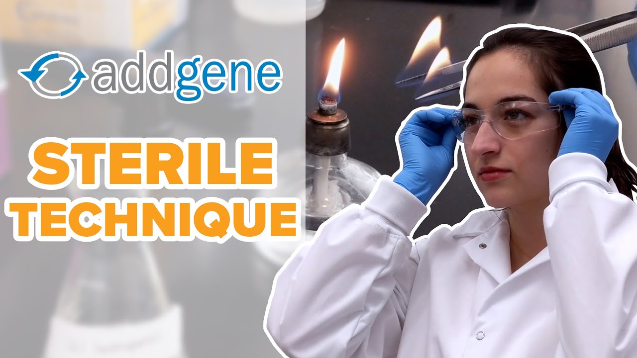 Mastering Aseptic Technique: Essential Practices for Laboratory Success ...