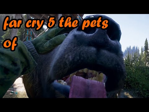 Steam Community :: Video :: far cry 5 the pets of 🐩🦁🐻 2 player coop ...