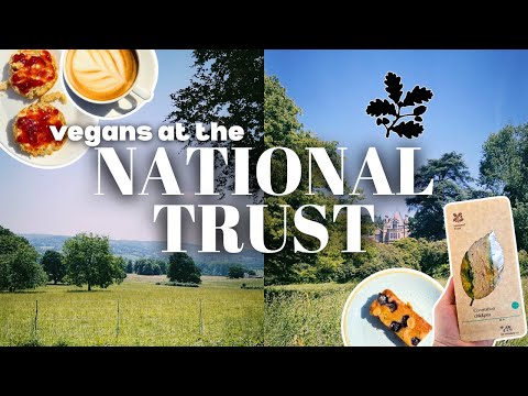 Honest Review of the National Trust cafe 🌱 (new vegan menu)