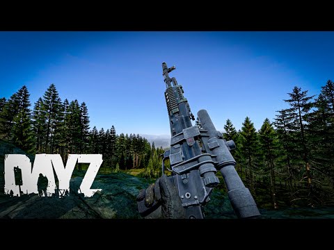 My First 24 Hours on a Fresh Wipe Dayz Server