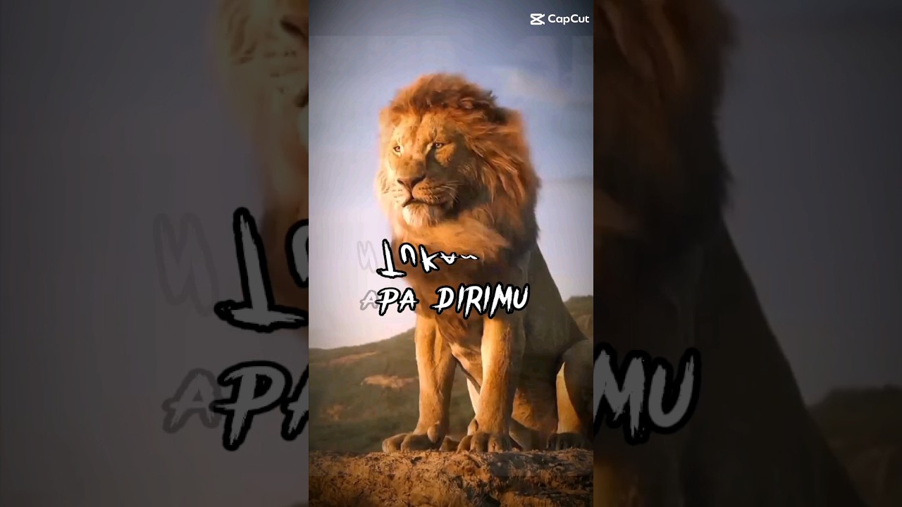 KHANHAZRATKHAN-123 animal videos,vimeos videos,share video on vimeo,how to share vimeo