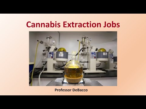 Cannabis Extraction Jobs