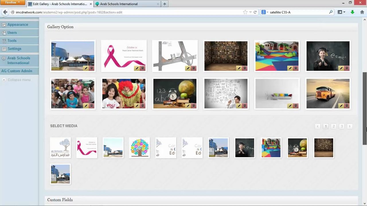 #14 AIS school events gallery