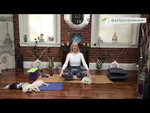 Slow Flow Yoga To Relax and Restore: August 28th, 2023