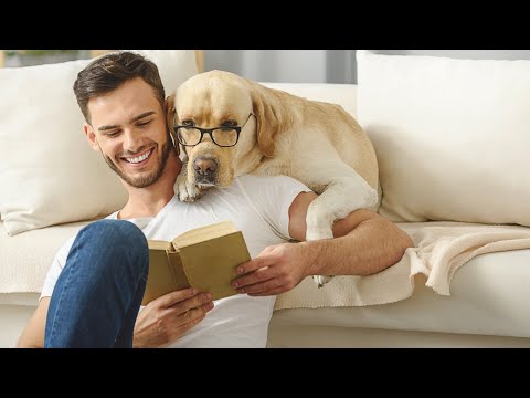 Interesting Facts About Dogs That Will Surprise Any Owner