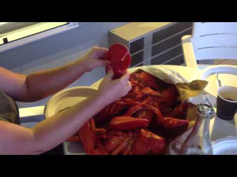 Lobsters From Perkins Cove Lobster Pound