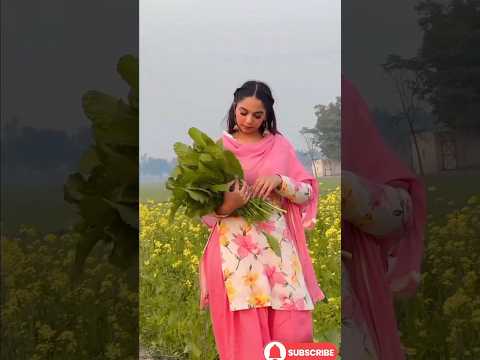 punjabi#suts#2024#❤️❤️#youtube#short#video#song#love#trending clothes#update#✅✅🤍🤍💫💫💯💯😇😇