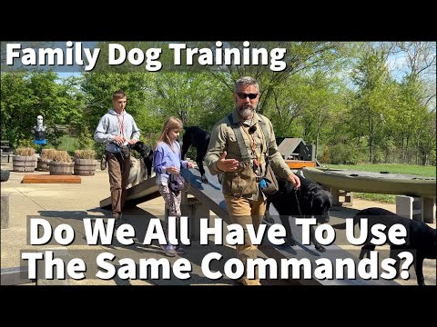 Dog Training Commands? Should Everyone In My Family Use the Same Words?