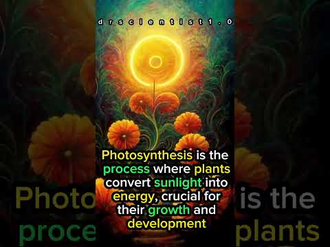 Why Plants need Sunlight??? #drscientist #shorts