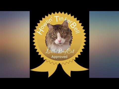 Rescue Disinfectant Concentrate Gallon review