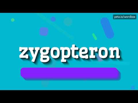 HOW TO PRONOUNCE ZYGOPTERON?