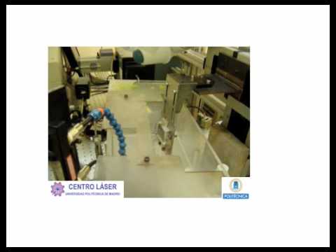 video lsp.mov