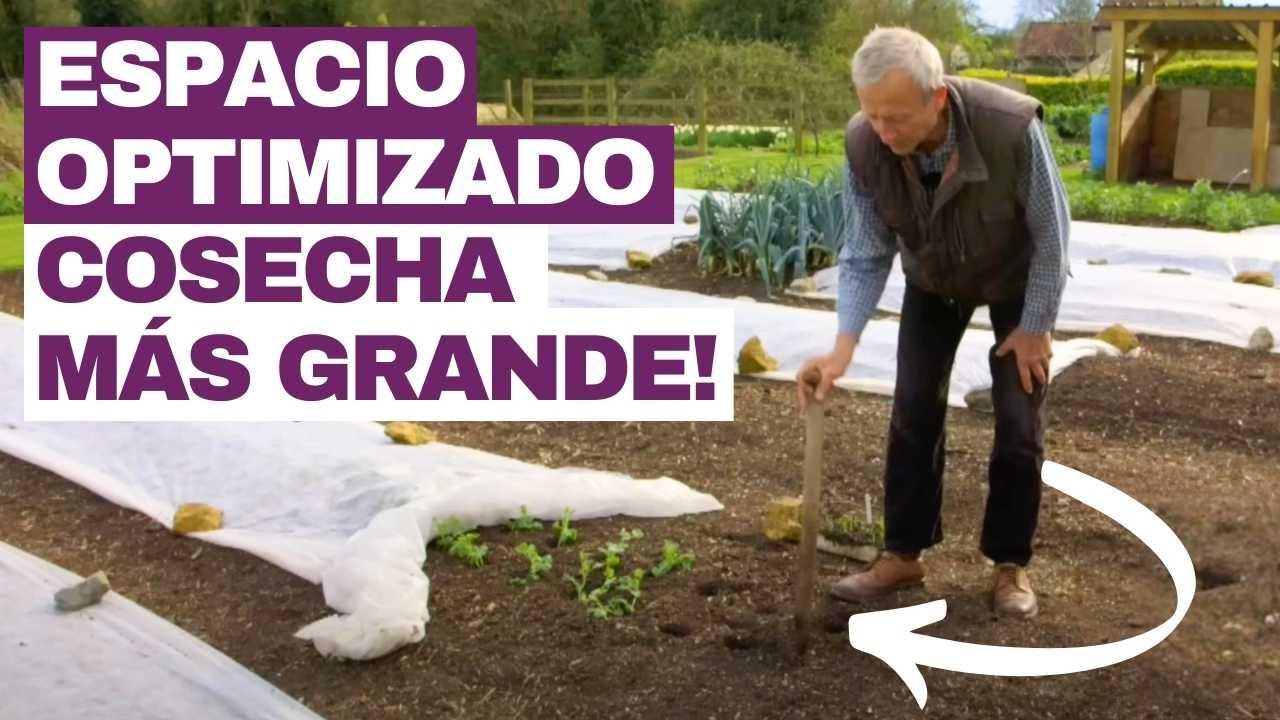 Cosecha Más! Cómo el Espaciado Puede Transformar Tu Cosecha