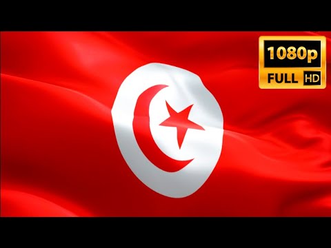 Tunisia flag closeup 1080p Full HD 1920X1080 footage video waving in wind. Tunisian flag H
