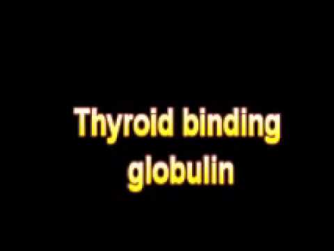 What Is The Definition Of Thyroid binding globulin