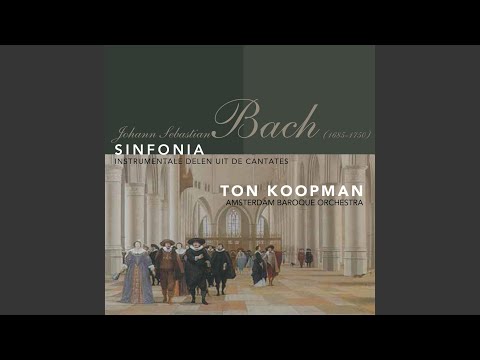 Unser Mund sei voll Lachens, BWV 110: Aria (tenor) "Ihr Gedanken und ihr Sinnen"