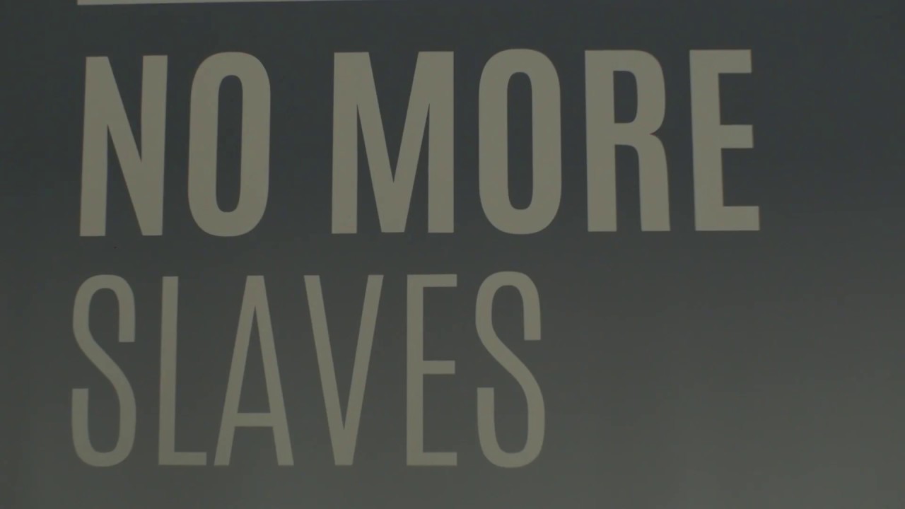 Arise Foundation: Message from Our Chair