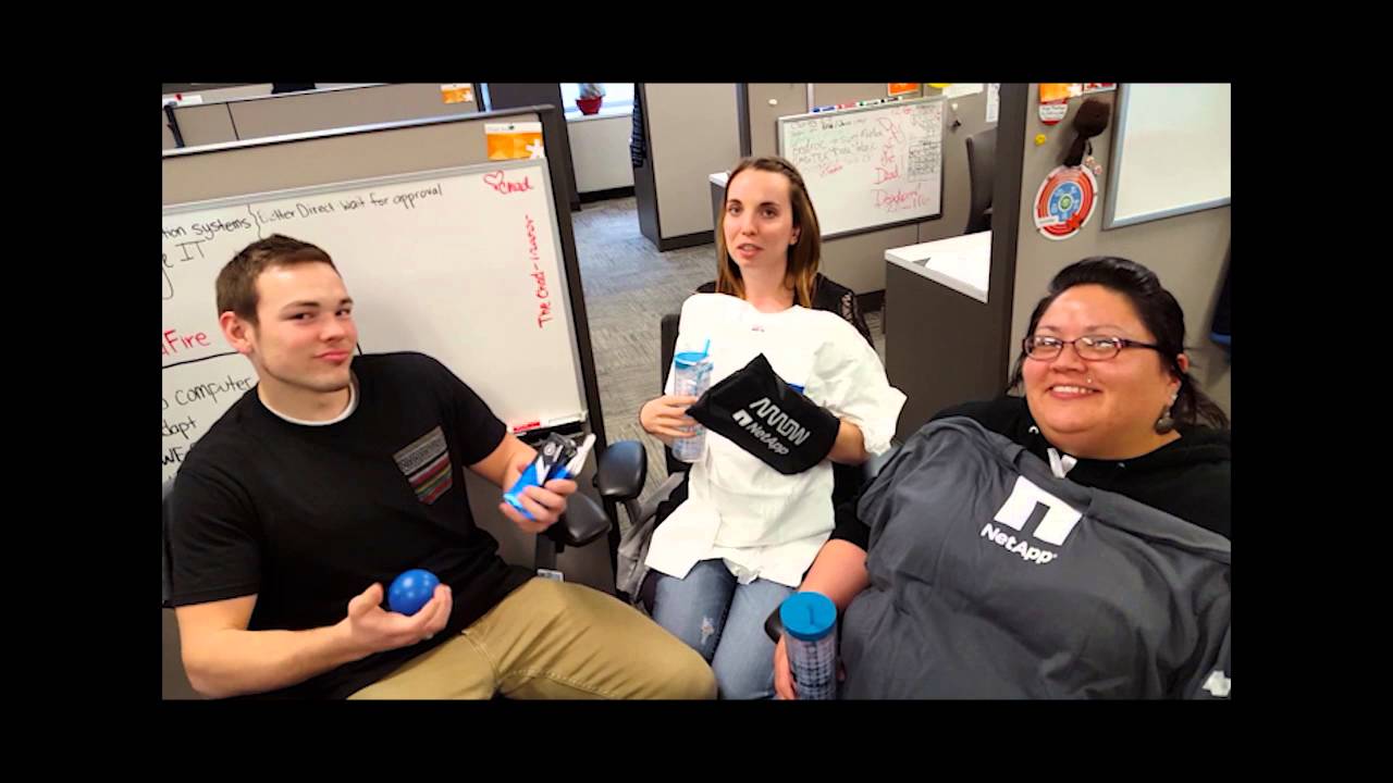NetApp Team Culture