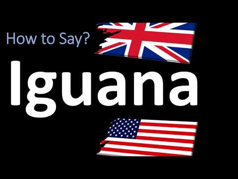 How to Pronounce Iguana? | UK British Vs USA American English Pronunciation