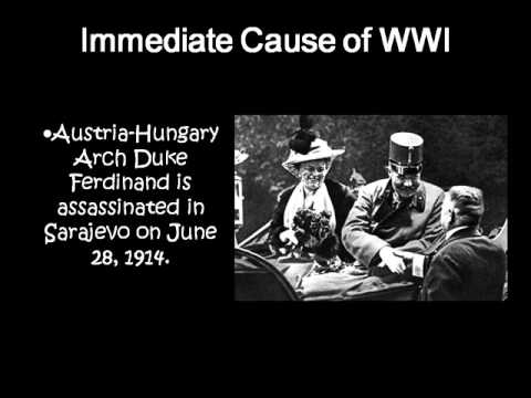 World War I: The Causes