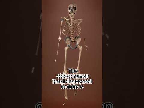 OLDEST HUMAN FOSSILS