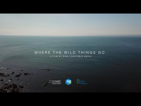 WHERE THE WILD THINGS GO