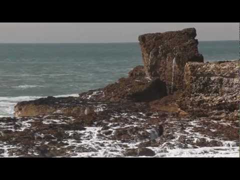 Media - Wavec - Offshore Renewables