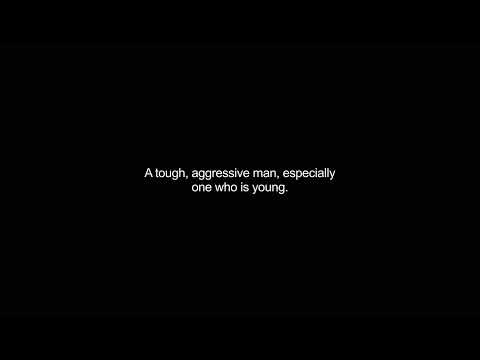 bullyboys video Dictionary meaning and pronunciation