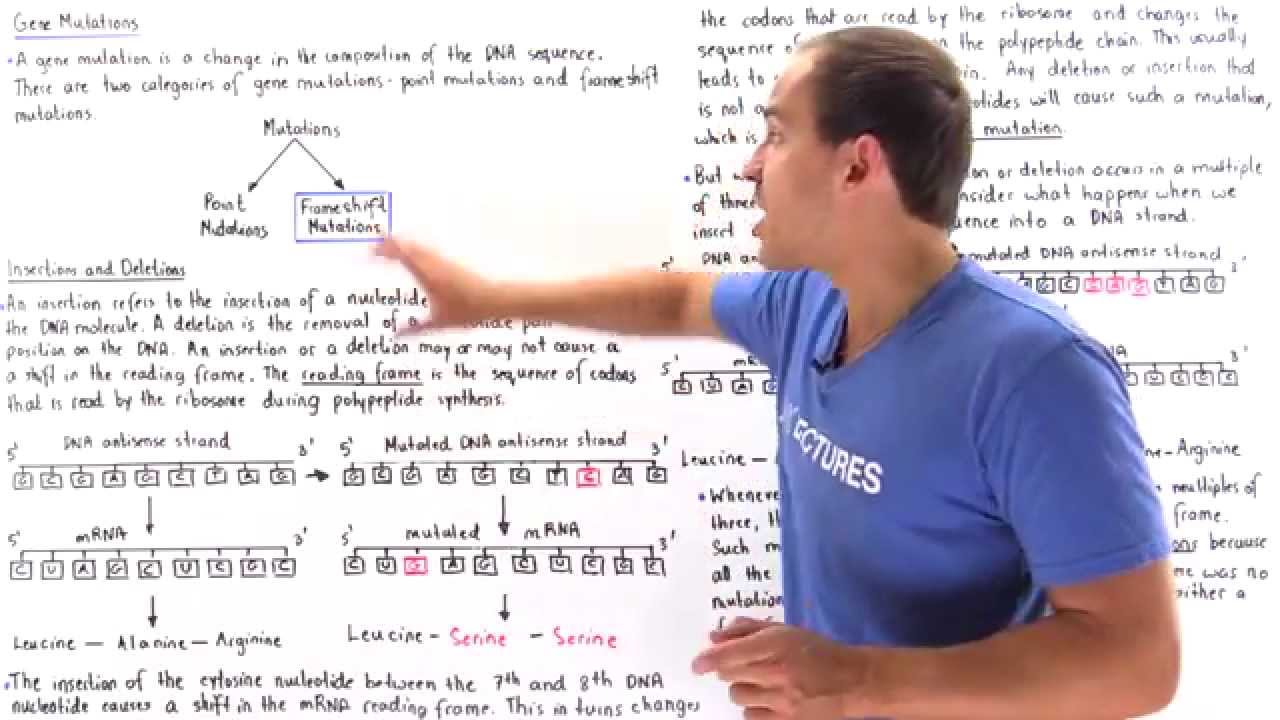Insertion, Deletions and Frameshift Mutations