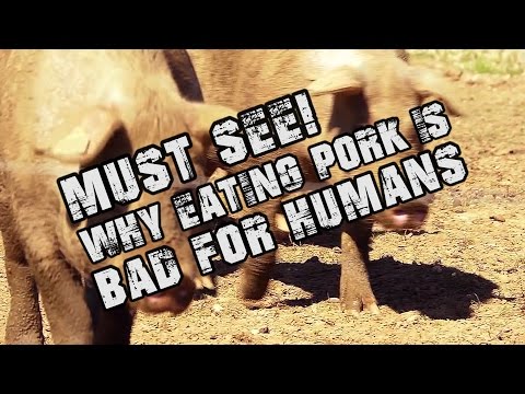 WHY Eating PORK is BAD For HUMANS (VIDEO) | PASS THE KNOWLEDGE (LIGHT ...