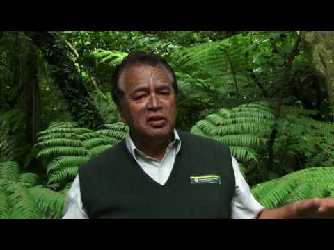 Māori values - Manaaki