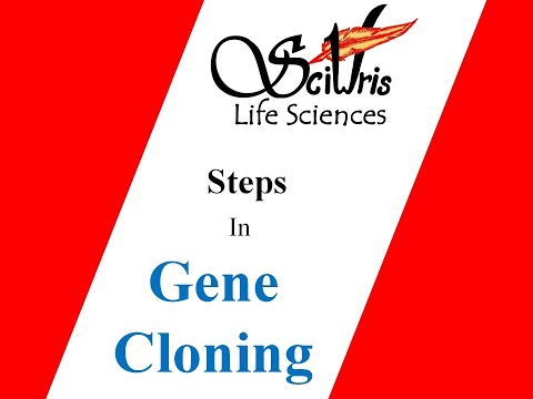 Plant Biotechnology : Steps in Gene Cloning